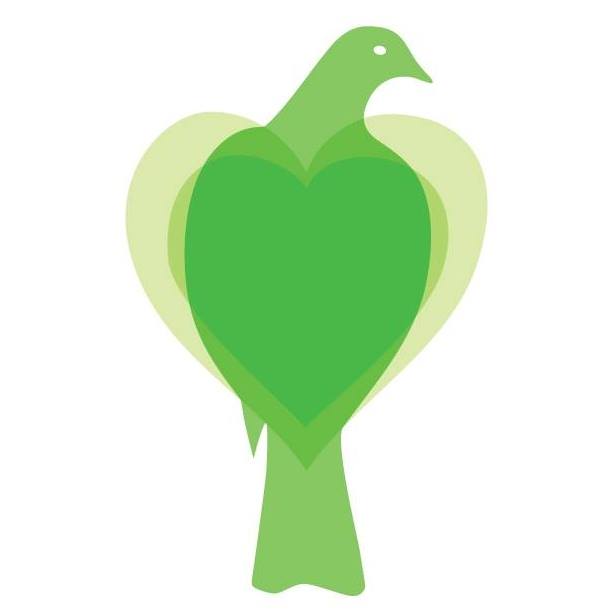 Waiheke Native Bird Rescue | Tīkapa Moana | Hauraki Gulf Conservation Trust